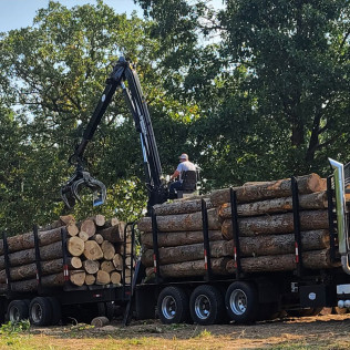 Logging Services | Timber Contractor | Osage Beach, Tuscumbia & Lake of ...